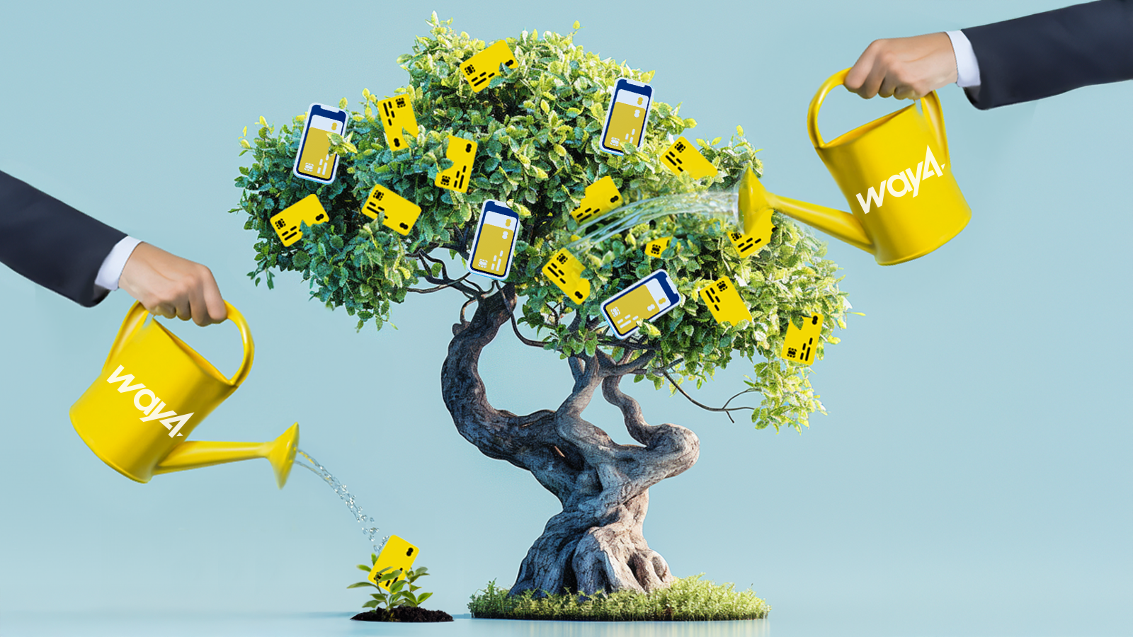 Way4 Digital Wallet